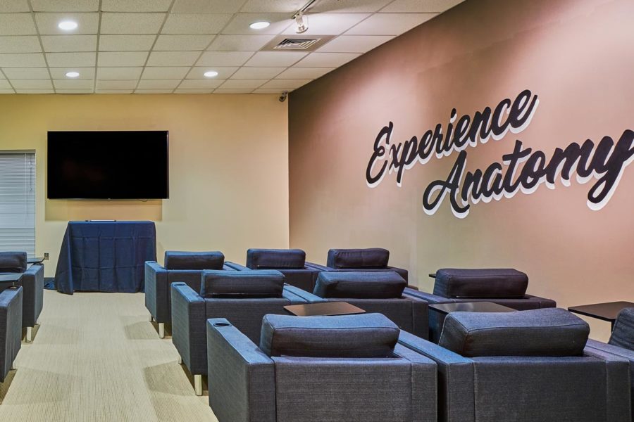 Venue Space - Experience Anatomy