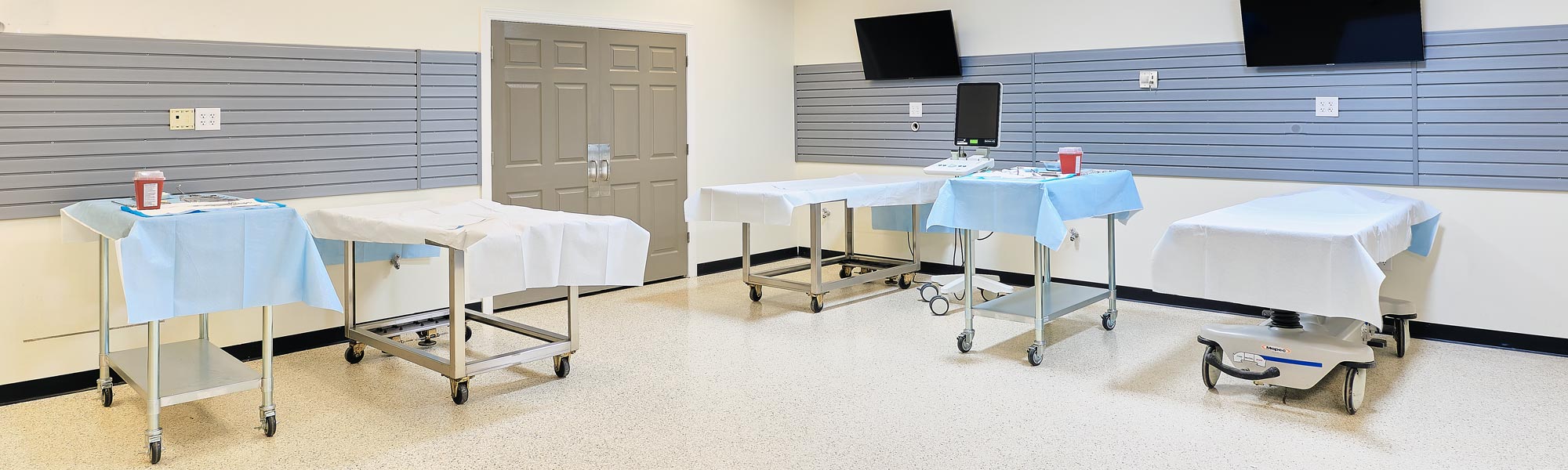 Experience Anatomy | Innovative Anatomy Education through Plastination