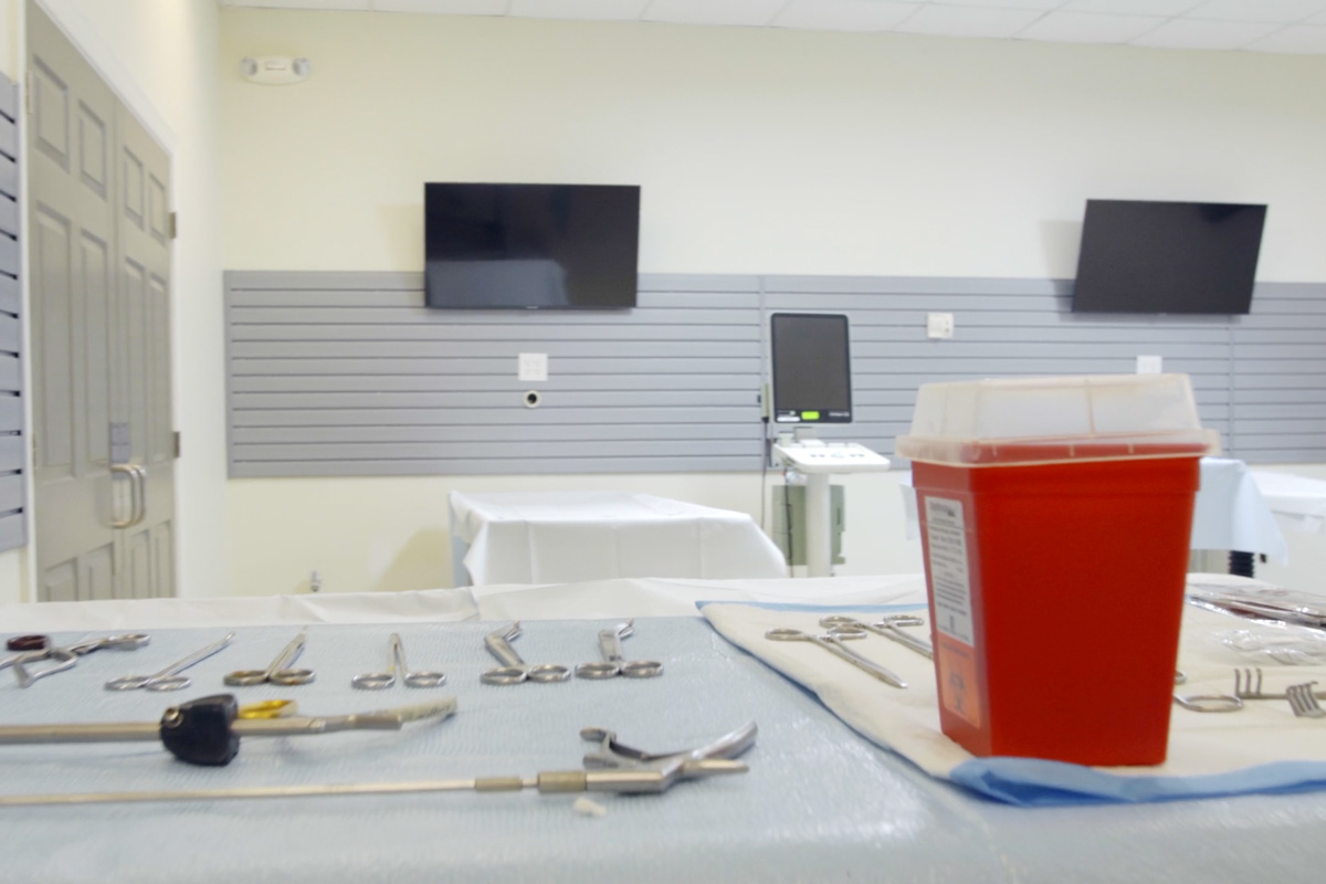 Venue Space - Experience Anatomy