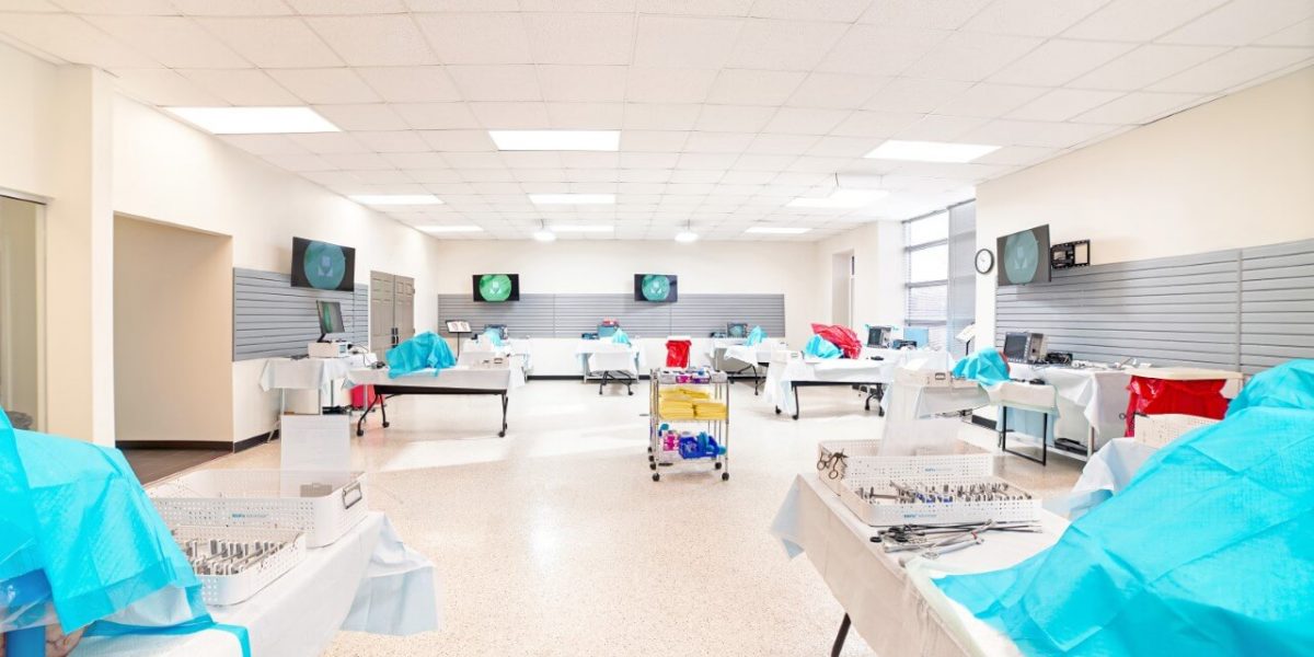 Experience Anatomy | Innovative Anatomy Education through Plastination