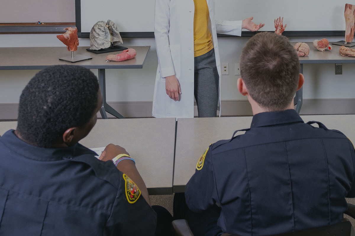 Innovative Anatomy Training Services | Experience Anatomy