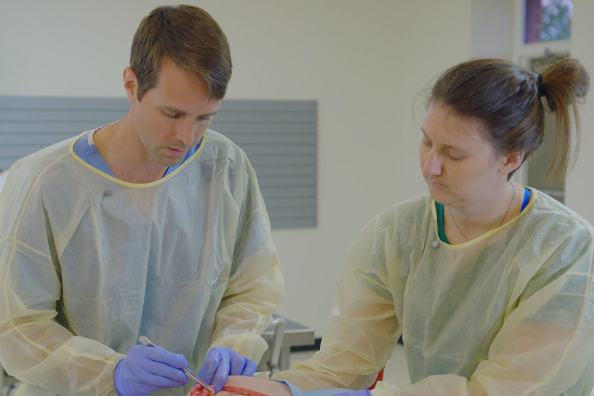 Innovative Anatomy Training Services | Experience Anatomy