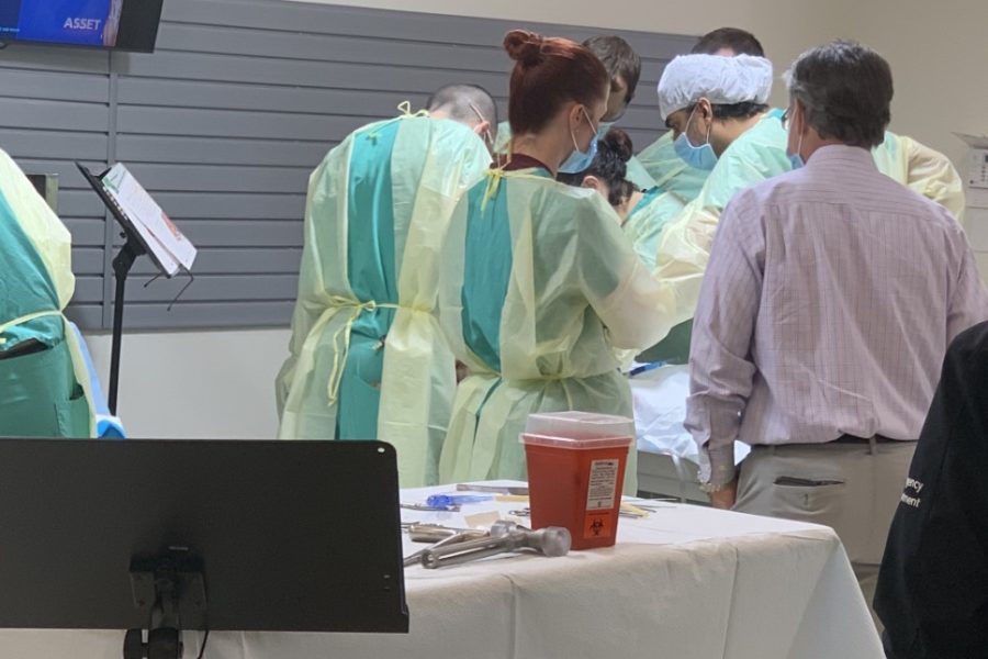 Past Courses - Experience Anatomy